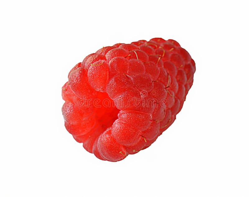 Ripe Raspberry Isolated White Background Front View Vibrant Color Stock ...