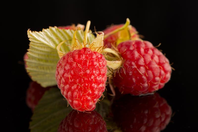 Fresh raspberries stock photo. Image of organic, raspberries - 41482236