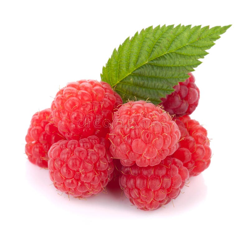 Raspberry fruit stock photo. Image of leaves, fresh, nature - 30391686
