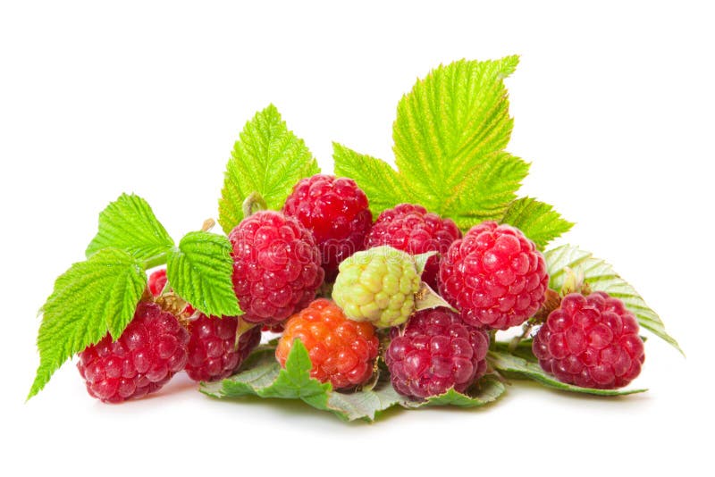 Fresh raspberries . stock image. Image of freshness, healthy - 42074077