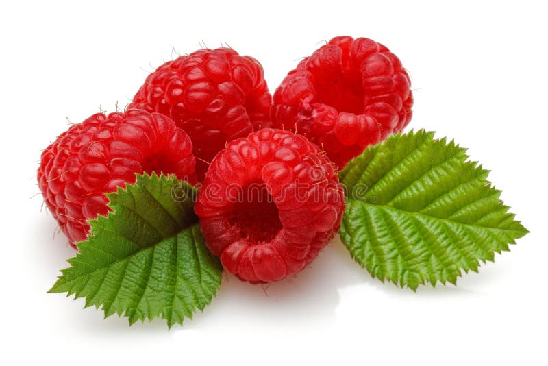 Fresh Raspberries with Leaves Stock Image - Image of raspberry, natural ...