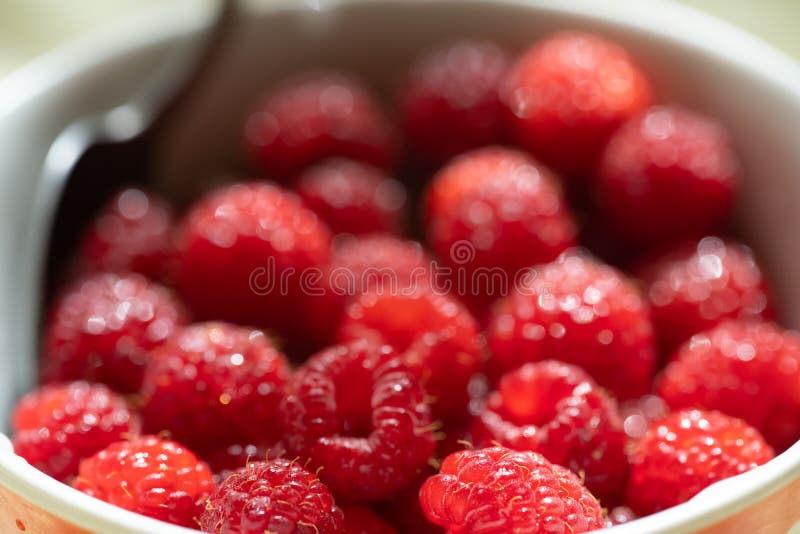 Fresh Raspberries in the Sun Stock Photo - Image of tasty, ripe: 199927872