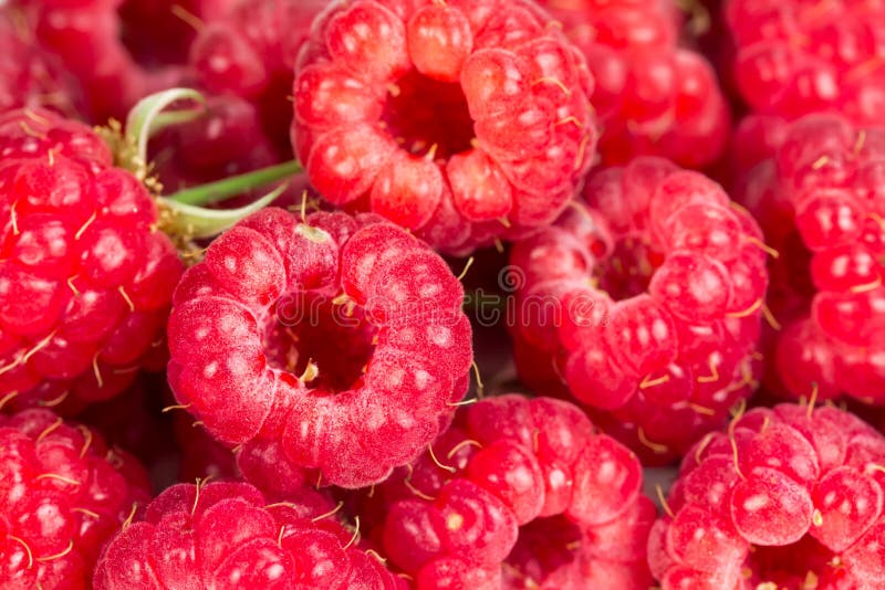 Fresh Raspberries. Texture. Stock Image - Image of food, sweet: 32291441