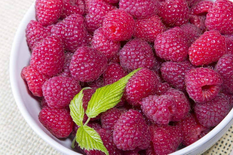 Fresh raspberries stock photo. Image of space, healthy - 55112478