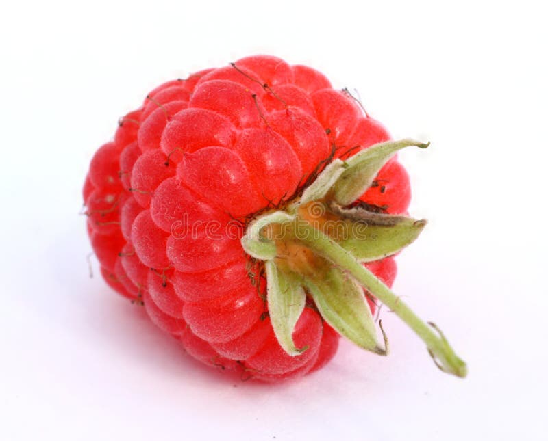 Raspberry stock image. Image of berry, ripe, vitamins - 30460087