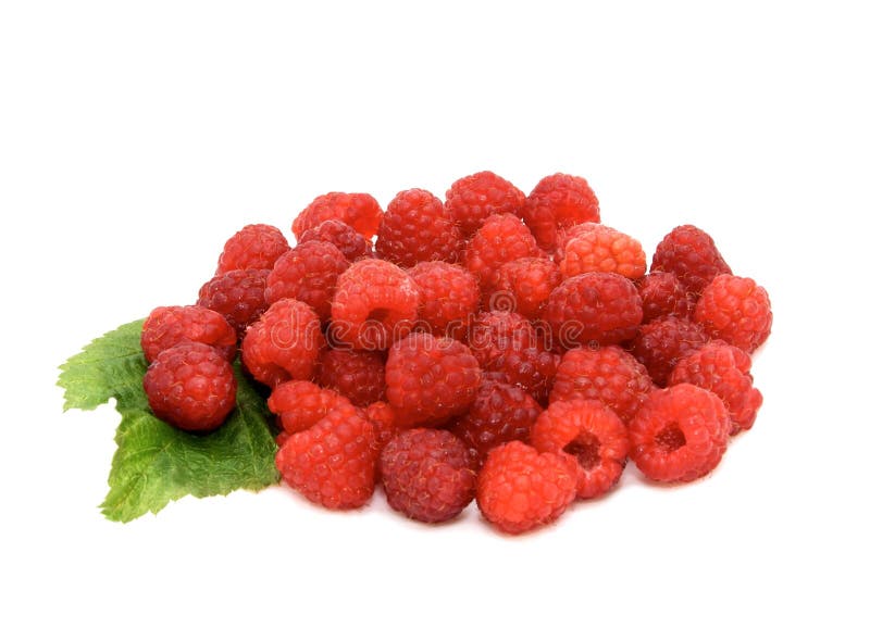 Fresh raspberry stock image. Image of sweet, life, gourmet - 11883259