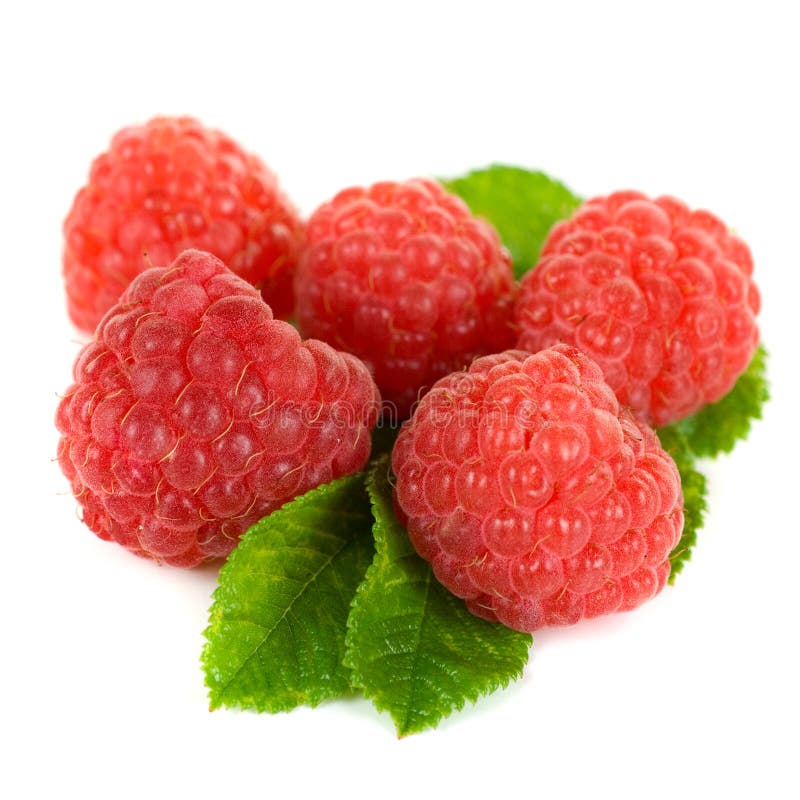 Raspberries stock photo. Image of freshness, diet, ingredient - 10450970