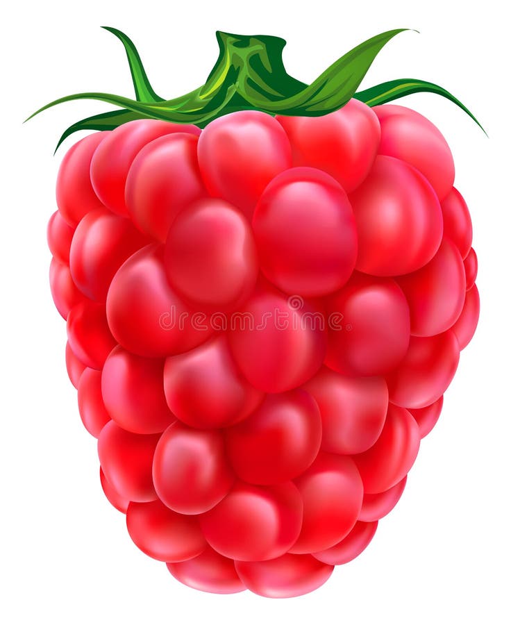 Fresh raspberry stock illustration. Illustration of fruit - 2303273