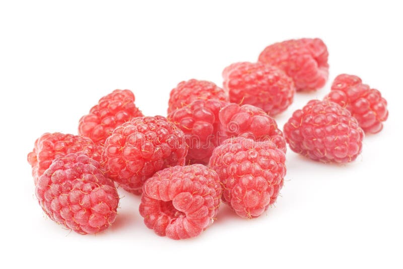 Fresh raspberry stock image. Image of fruit, single, nature - 25393657