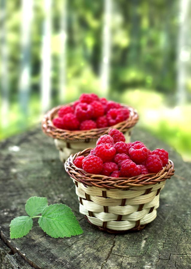 Fresh red raspberry stock photo. Image of fruit, cuitivated - 115843732