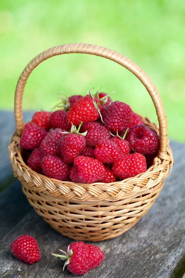 Fresh Raspberry in a Basket Stock Photo - Image of diet, ingredient ...