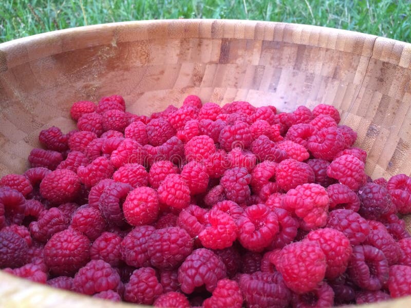 Fresh Raspberry stock photo. Image of raspberry, plate - 69670014
