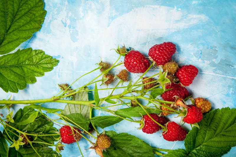 Fresh Raspberry Border with Leaves on Art Background Stock Image ...
