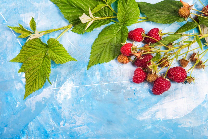 Fresh Raspberry Border with Leaves on Art Background Stock Image ...