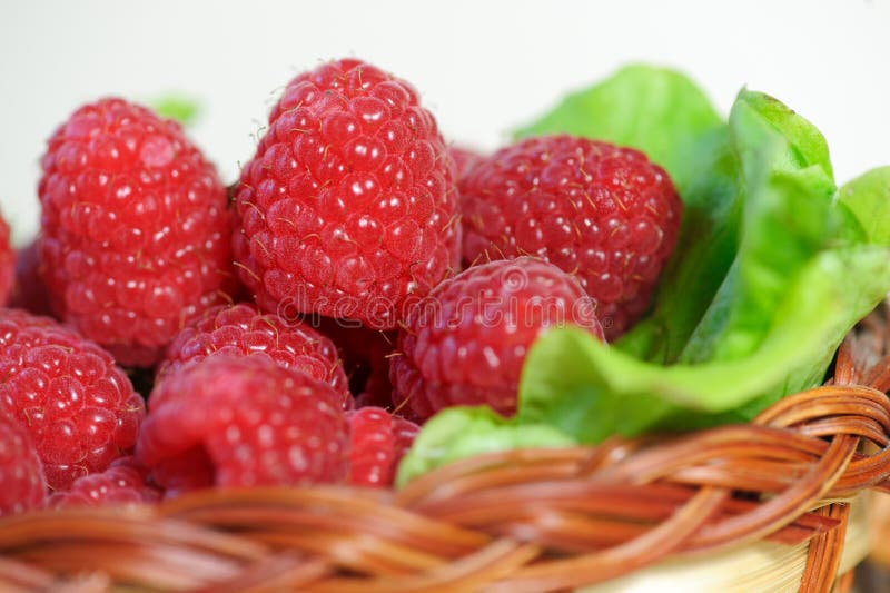 Fresh raspberry stock image. Image of macro, juicy, nature - 40318537