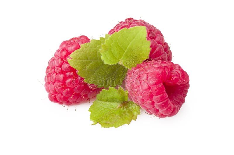 Fresh Raspberry stock photo. Image of ripe, color, summer - 49383546