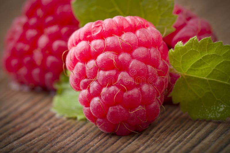 Fresh Raspberry stock photo. Image of summer, berry, raspberry - 42259592