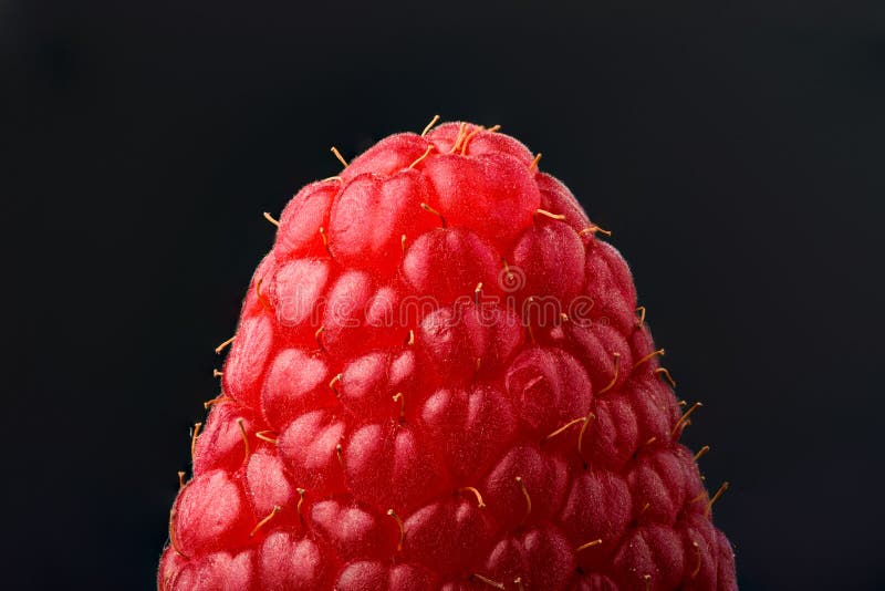 Fresh raspberry closeup stock image. Image of healthy - 111311163