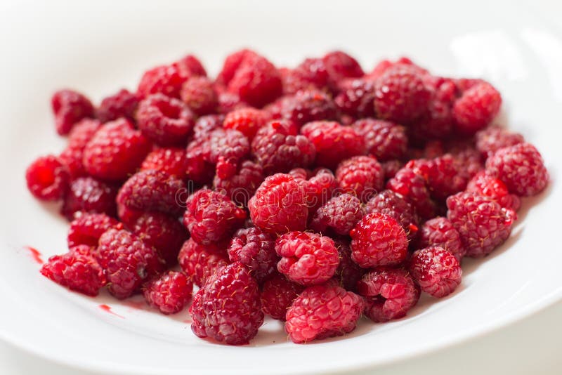 Fresh Raspberry Fruit stock image. Image of diet, sweet - 73647825