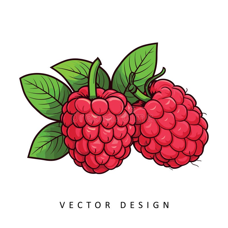 Fresh Raspberry Fruit Vector Design AI Generated Stock Illustration ...