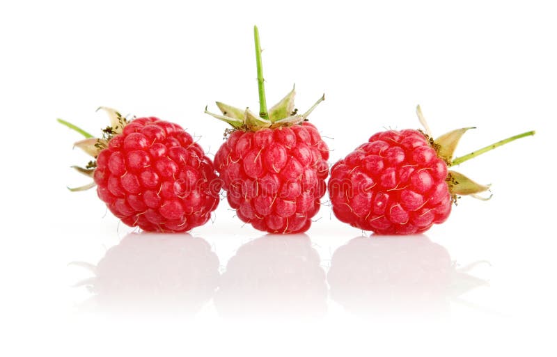 Fresh Raspberry Fruits with Green Leaves Stock Image - Image of still ...