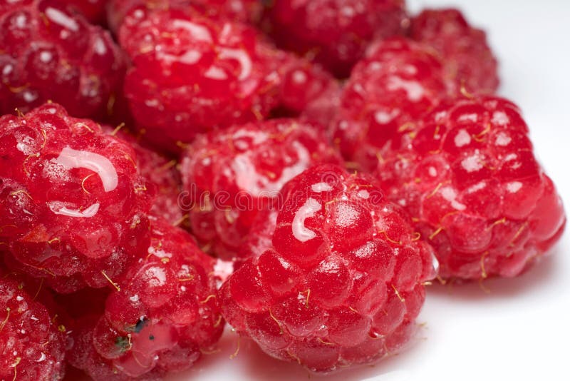 Fresh Raspberry for Fun and Pleasure Stock Photo - Image of macro ...