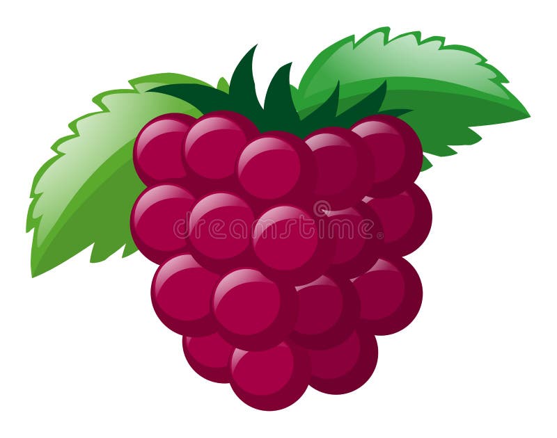 Set of Raspberry Green Leaves Illustration for Web Isolated on White ...