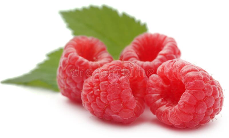 Fresh Raspberry with Green Leaves Stock Photo - Image of natural, group ...