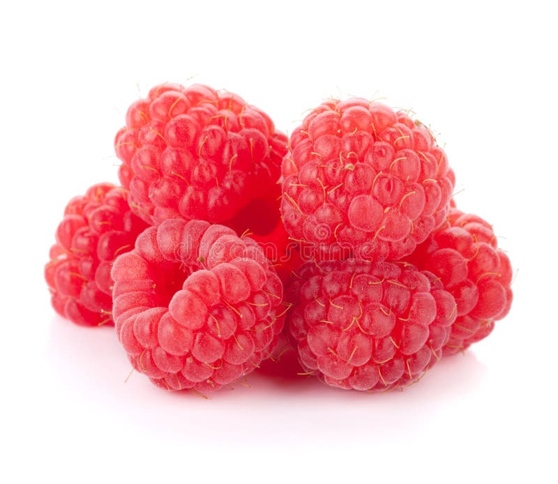 Raspberry stock image. Image of desert, natural, delicious - 10038145