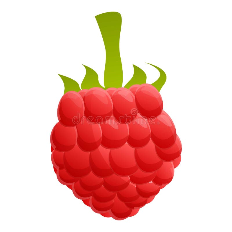 Fresh Raspberry Icon, Cartoon Style Stock Vector - Illustration of ...