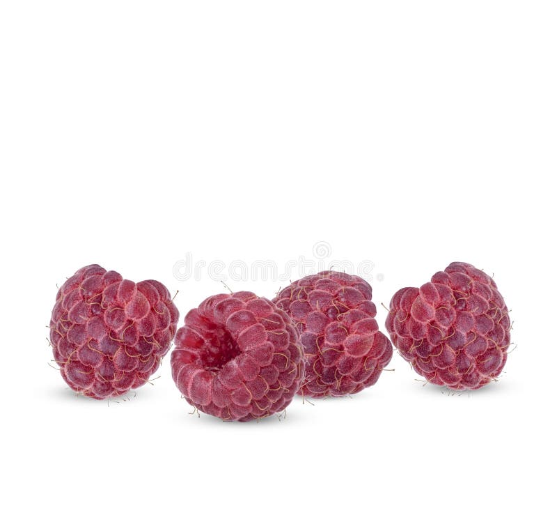 Fresh Raspberry with Leaves Isolated on White Background Stock Photo ...
