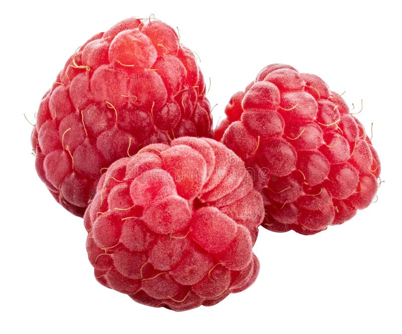 Fresh Raspberry Isolated on White Background. Clipping Path Stock Photo ...