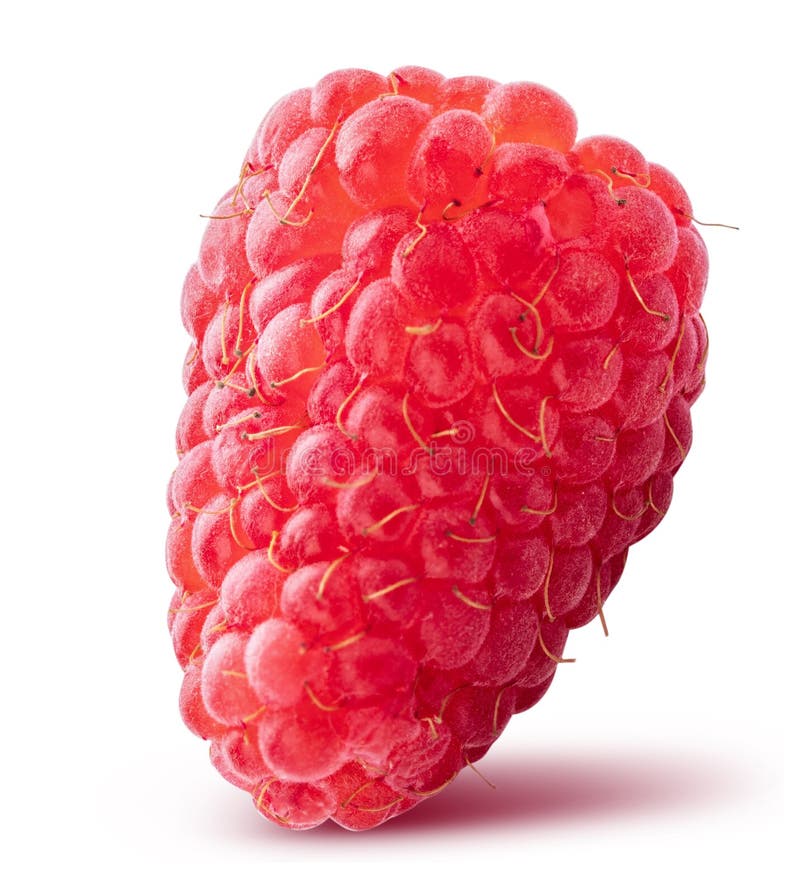 Fresh Raspberry Isolated on White Background. Clipping Path Stock Image ...