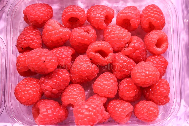 Fresh Raspberry in a Package Stock Photo - Image of delicious ...