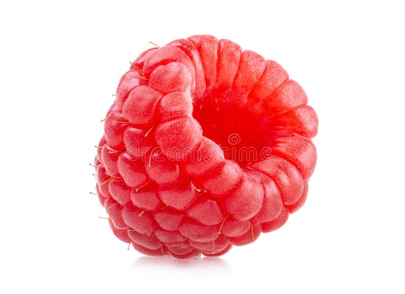 Fresh raspberry stock image. Image of isolated, ripe - 151692565