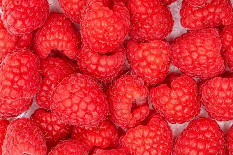 Fresh Raspberry Texture Background for Healthy Eating and Fruit Design ...