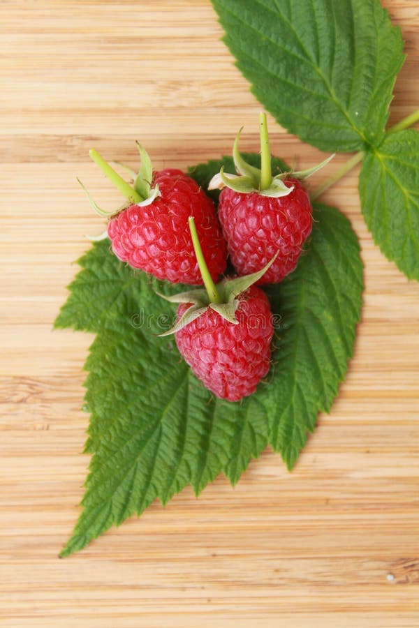 Fresh raspberry stock image. Image of ripe, corsiva, seeds - 43564599