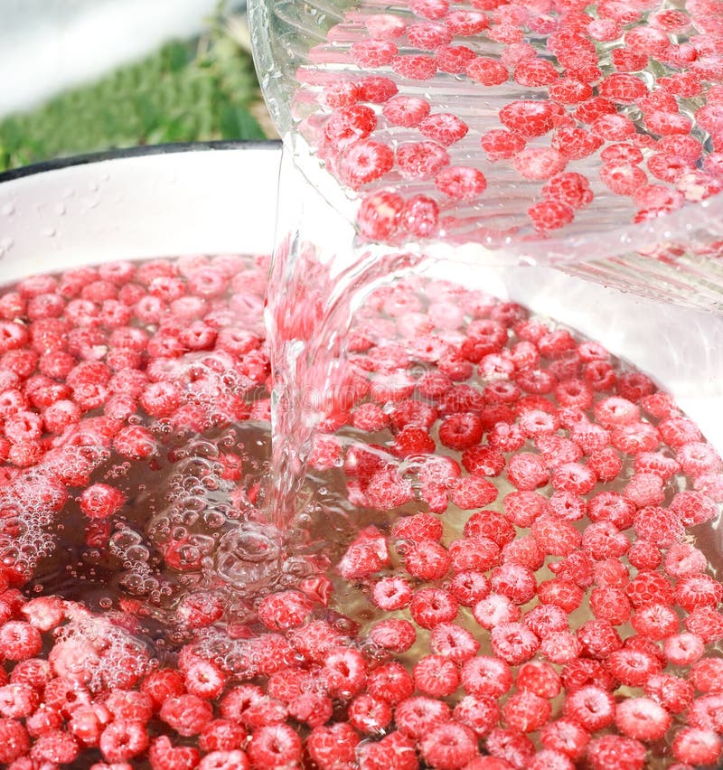 Fresh raspberry in water stock photo. Image of food, luscious - 25401272