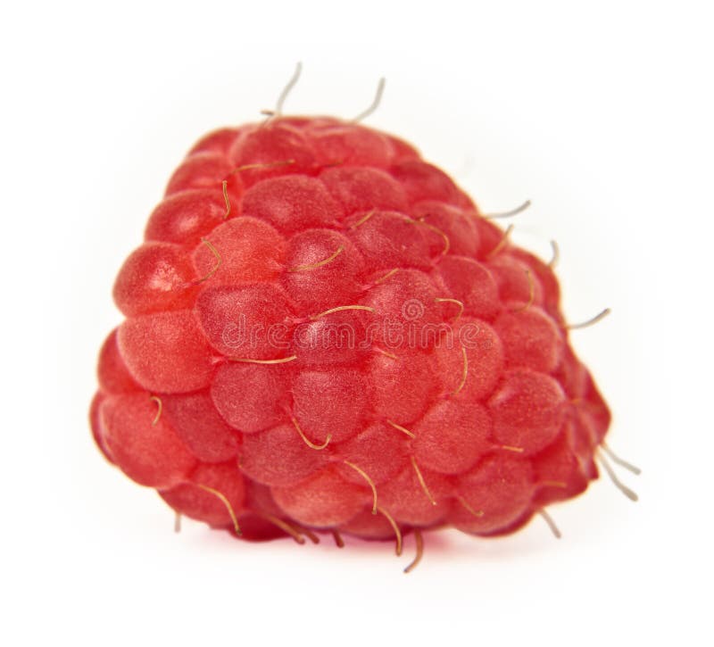 Fresh Raspberry on White Background Stock Photo - Image of fresh ...