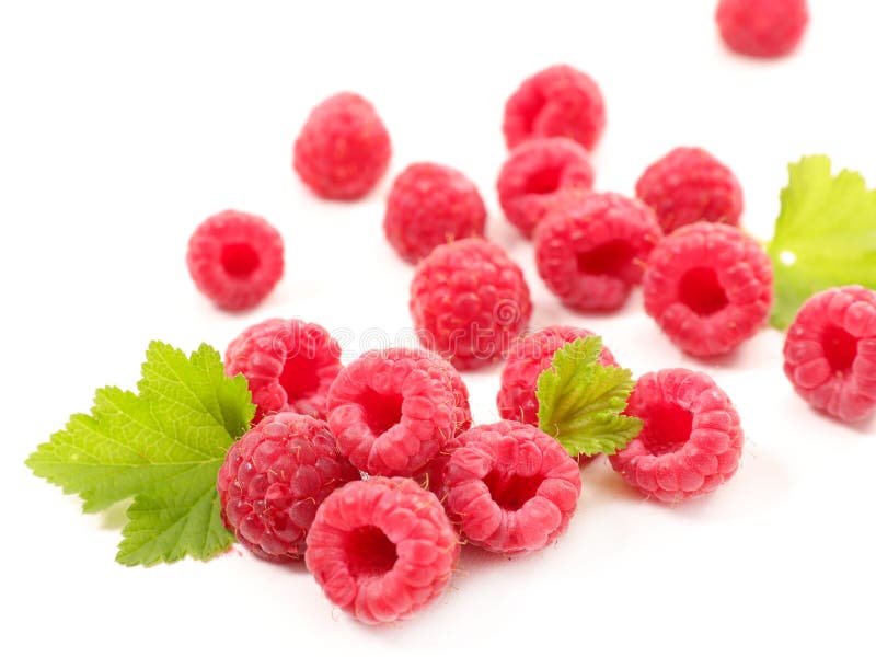 Raspberry stock photo. Image of fresh, healthy, berry - 121552298