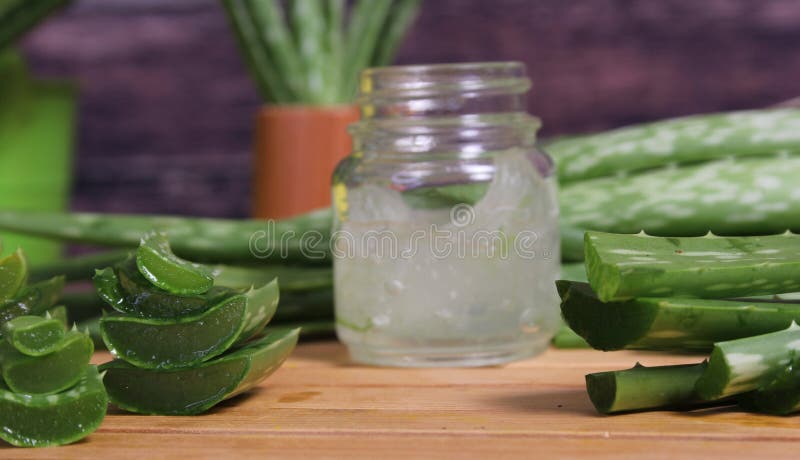 Fresh Raw Aloe Vera on Table after Harvest Stock Image - Image of ...