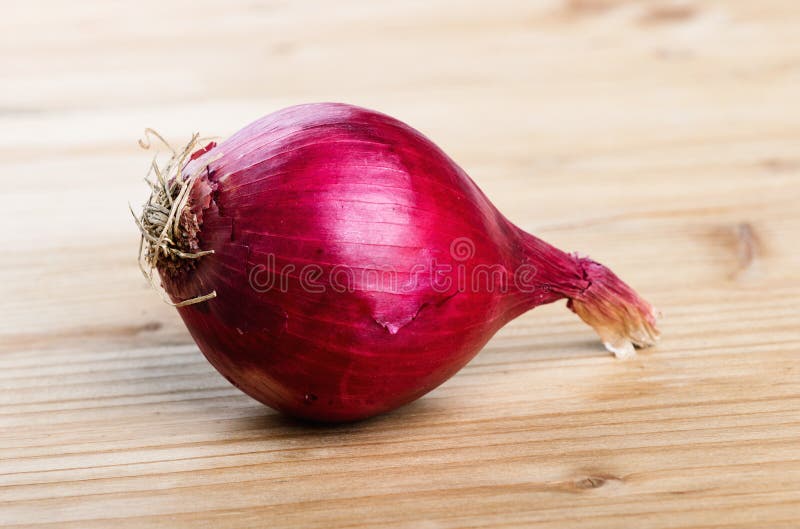 Fresh Raw Aromatic Red Onion Stock Image - Image of fiery, condiment ...