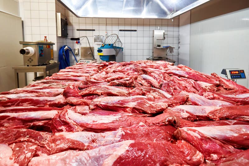 Fresh Raw Beef Meat on the Table and Meat Mincing Equipment in a ...