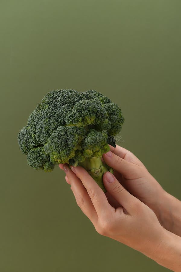 Fresh Raw Broccoli in Hand. Healthy Eating and Vegetarianism Concept ...