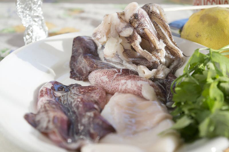 Fresh raw calamari stock image. Image of color, white - 66389727