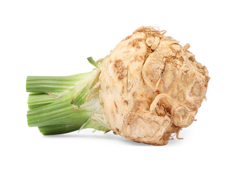 Fresh Raw Celery Root Isolated on White Stock Photo - Image of root ...