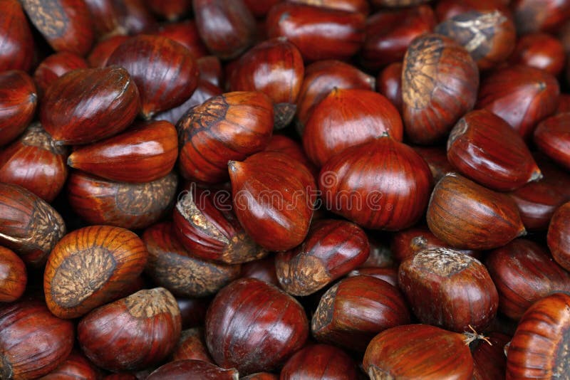 Fresh Raw Chestnuts Marrons Close Up Stock Image - Image of traditional ...