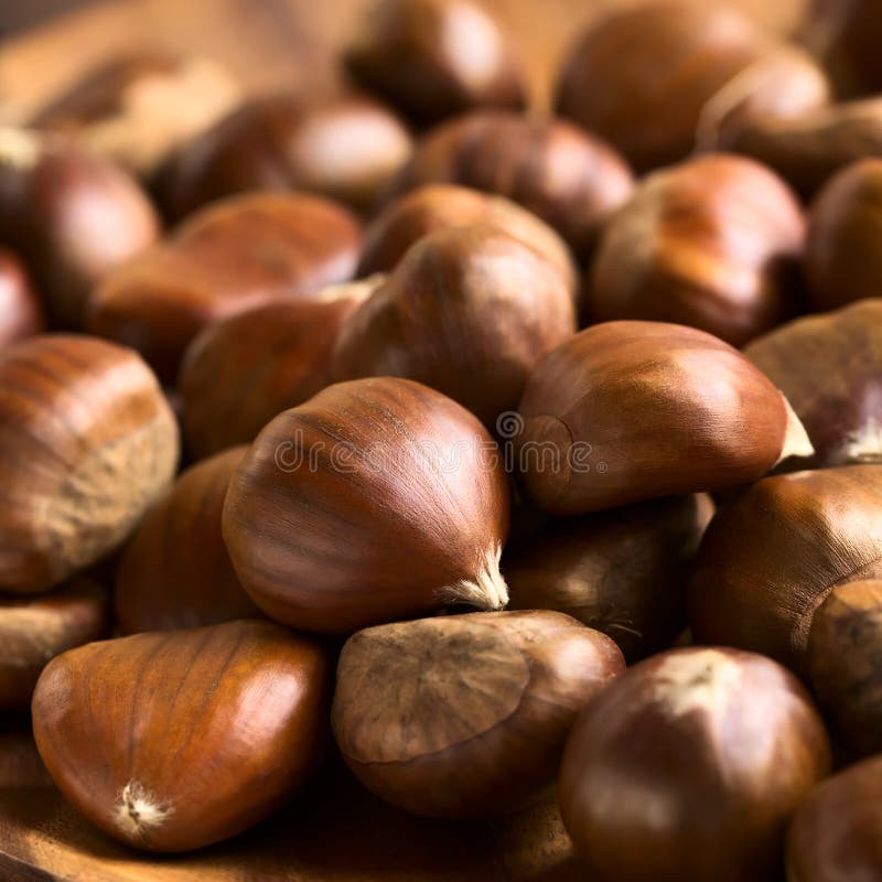 Raw Chestnuts stock image. Image of autumn, seasonal - 152579461
