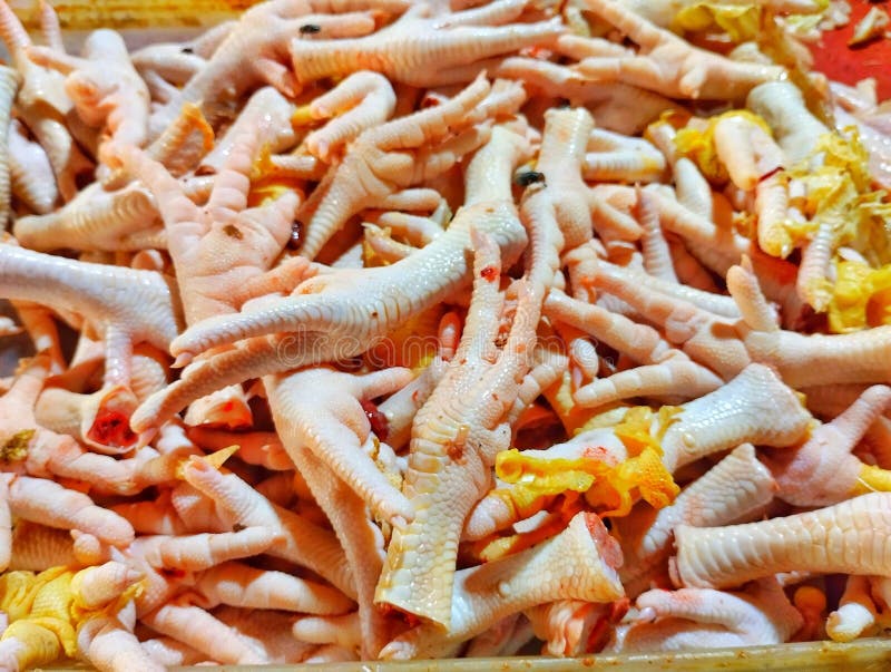 Fresh Raw Chicken Claw Pieces Stock Image - Image of fresh, claw: 385106315