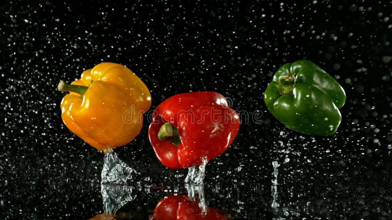 Fresh Raw Colored Peppers Falling Down on Black Background Stock Image ...